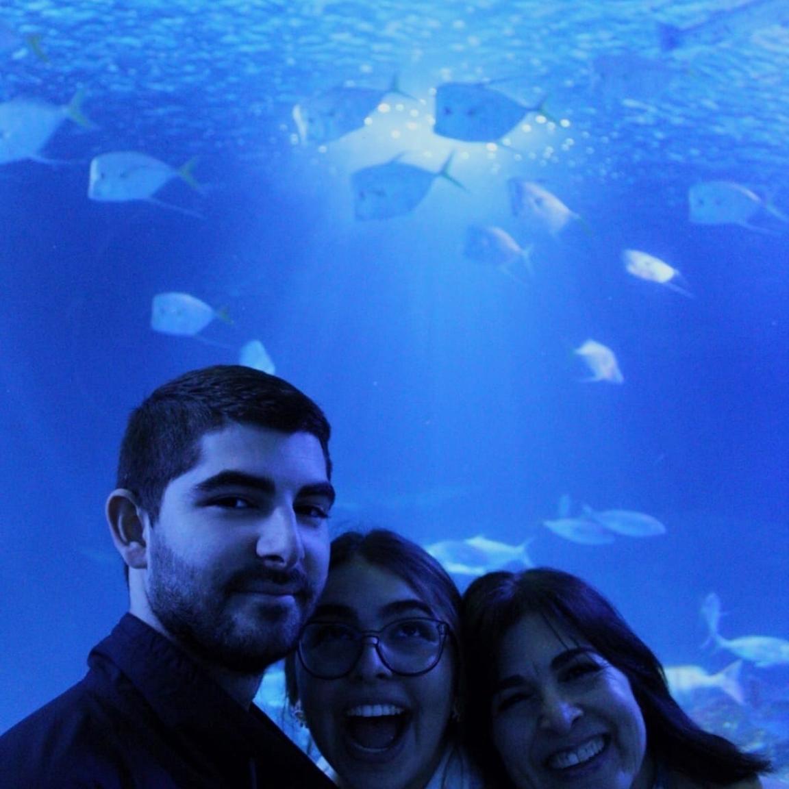 Our Team | Digital Pulp