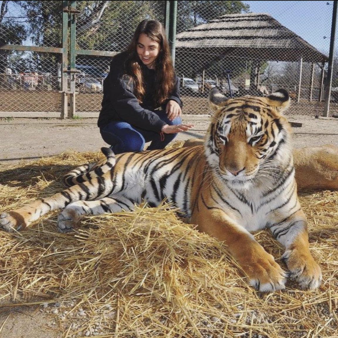 Our Team | Digital Pulp