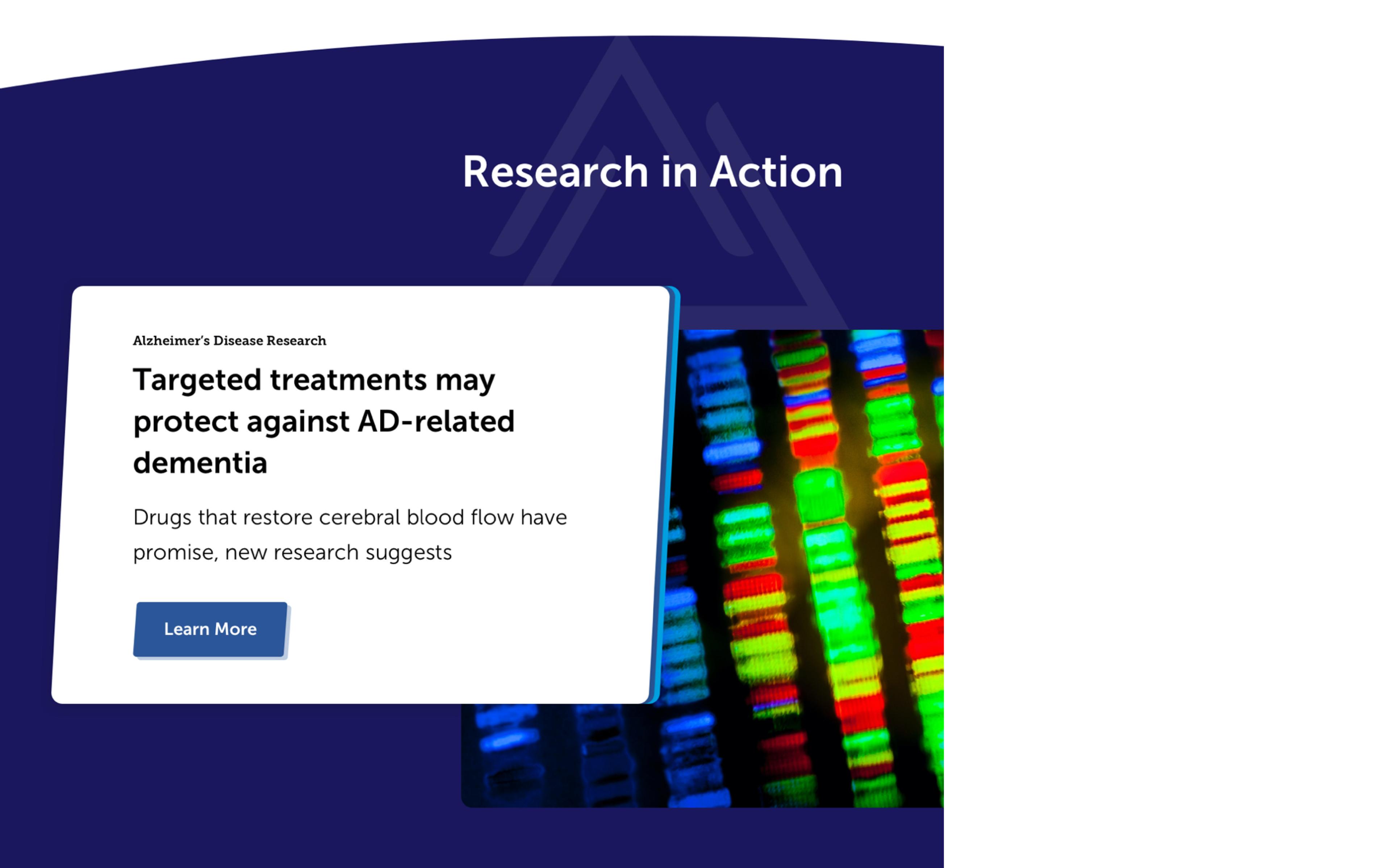 BrightFocus Foundation | Digital Pulp